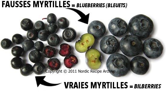 Où sont passées les myrtilles ? – Néo-nutrition
